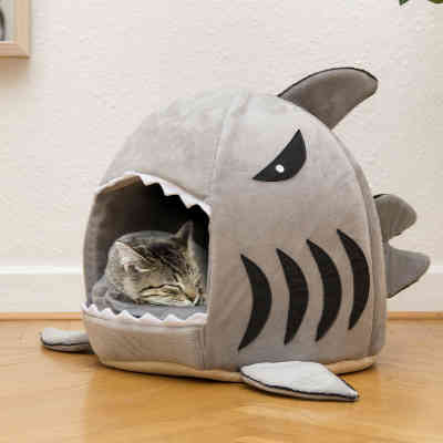 10 gaveideer til katteejeren (2020) - Ideer der bringer glæde i hverdagen